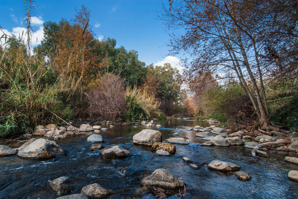 איציק ביניונסקי - צילומי טבע ונוף