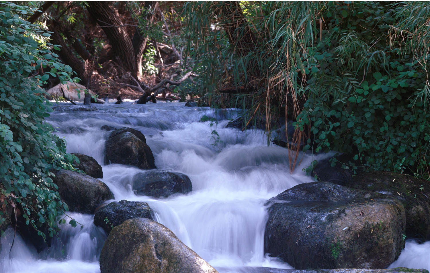 איציק ביניונסקי - צילומי טבע ונוף