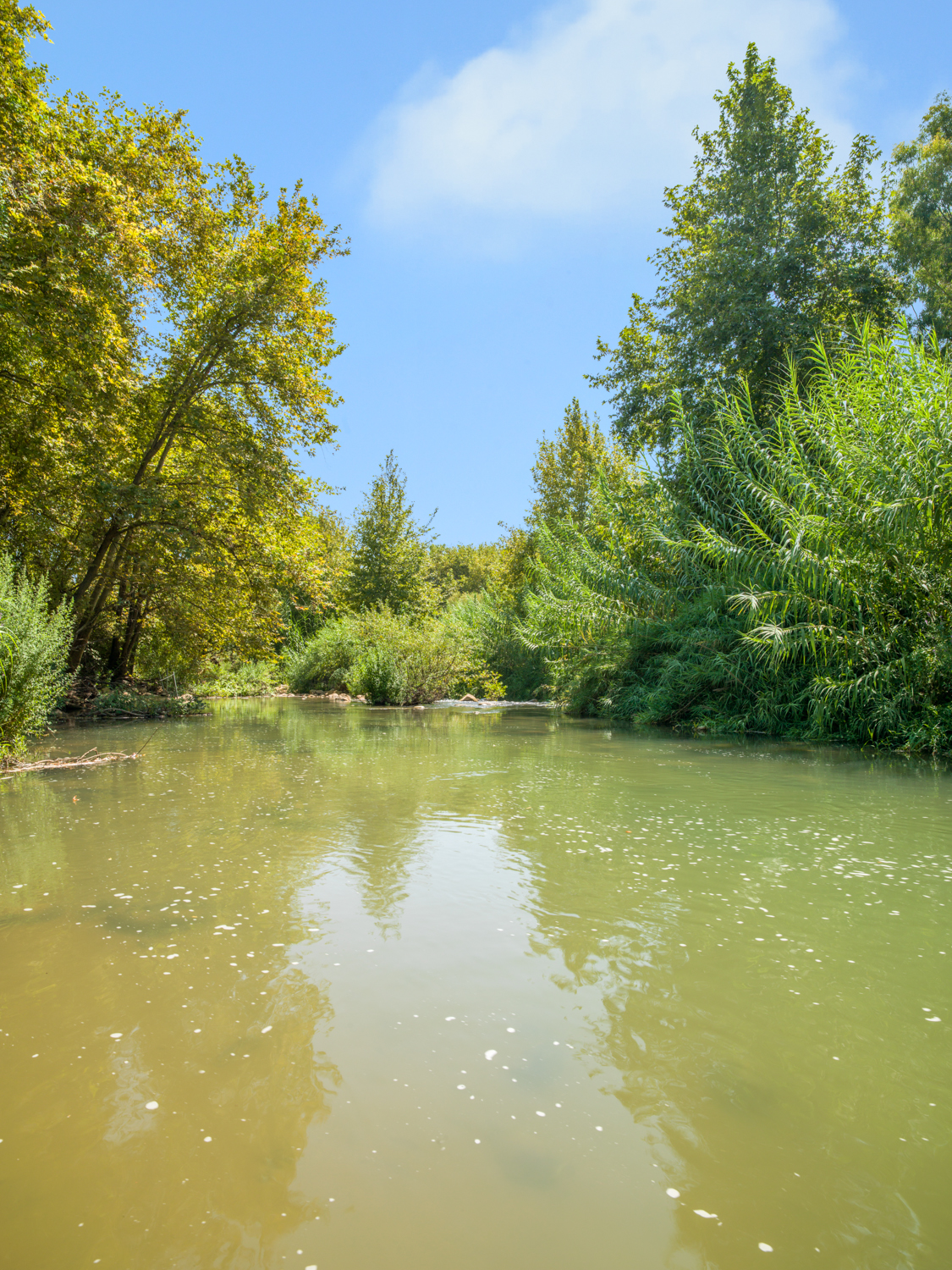 איציק ביניונסקי - צילומי טבע ונוף
