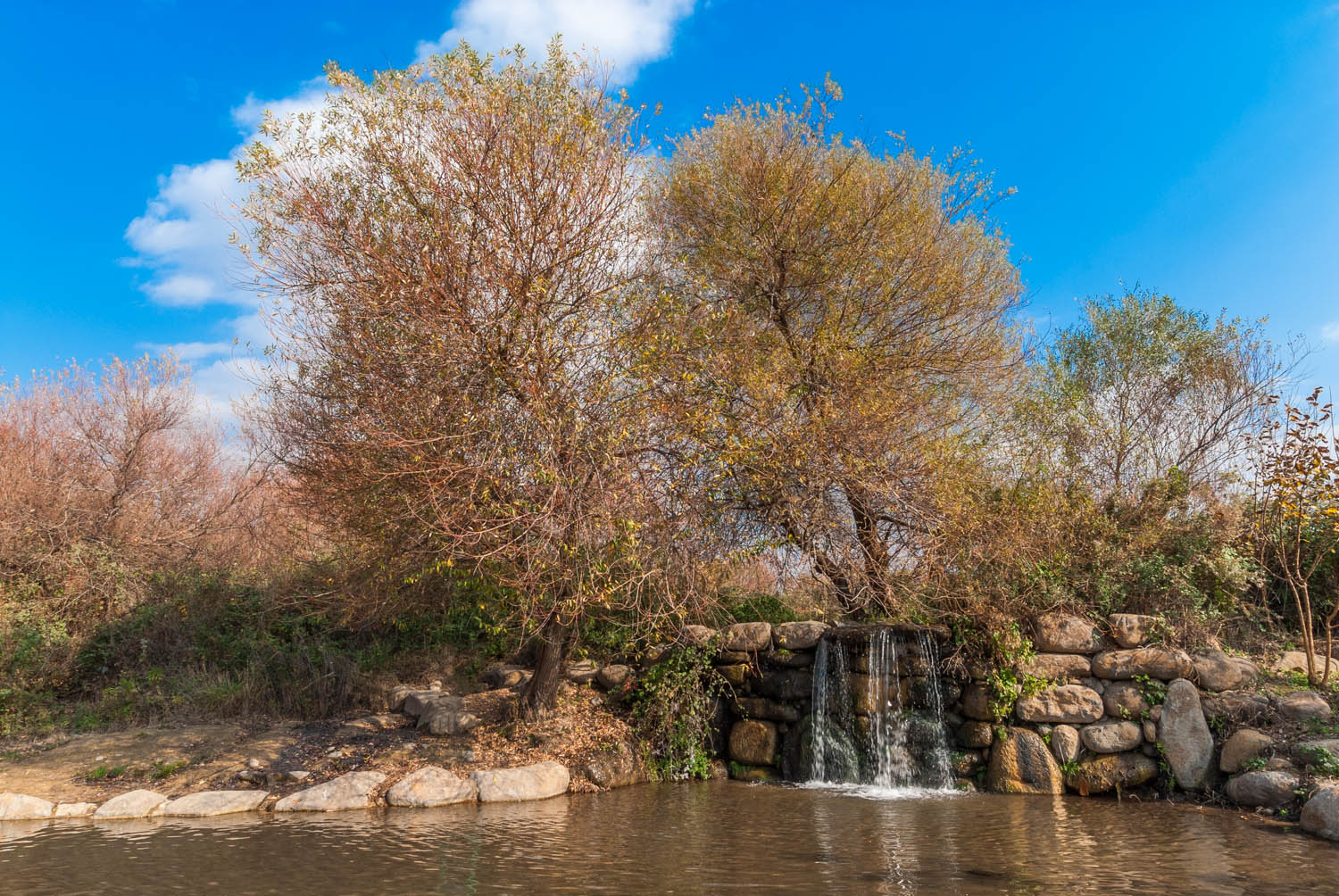 איציק ביניונסקי - צילומי טבע ונוף