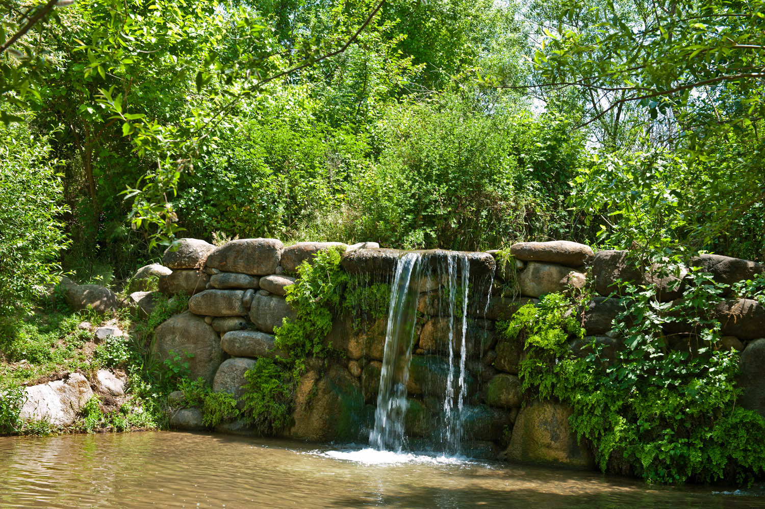 איציק ביניונסקי - צילומי טבע ונוף