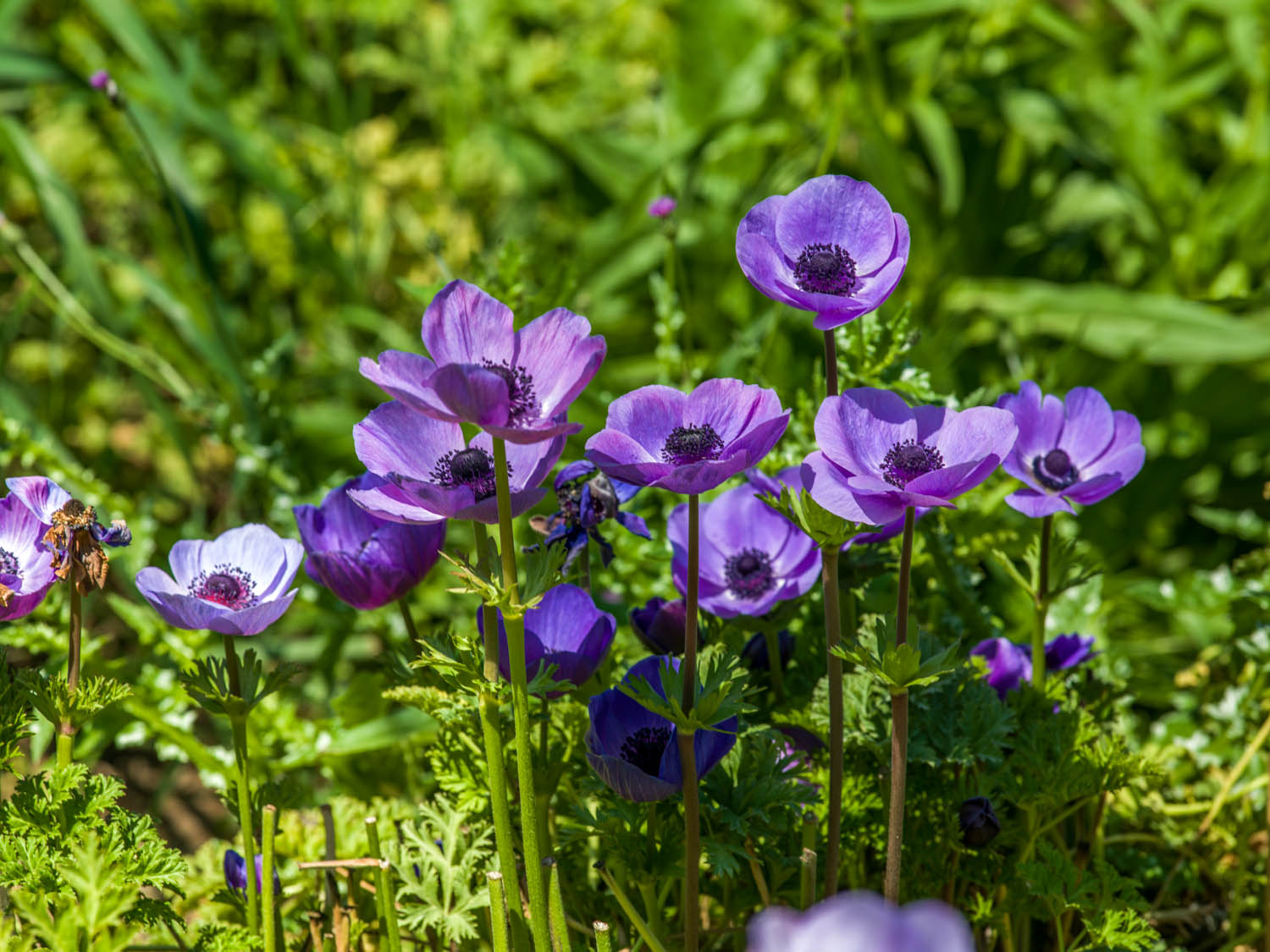 איציק ביניונסקי - צילומי טבע ונוף